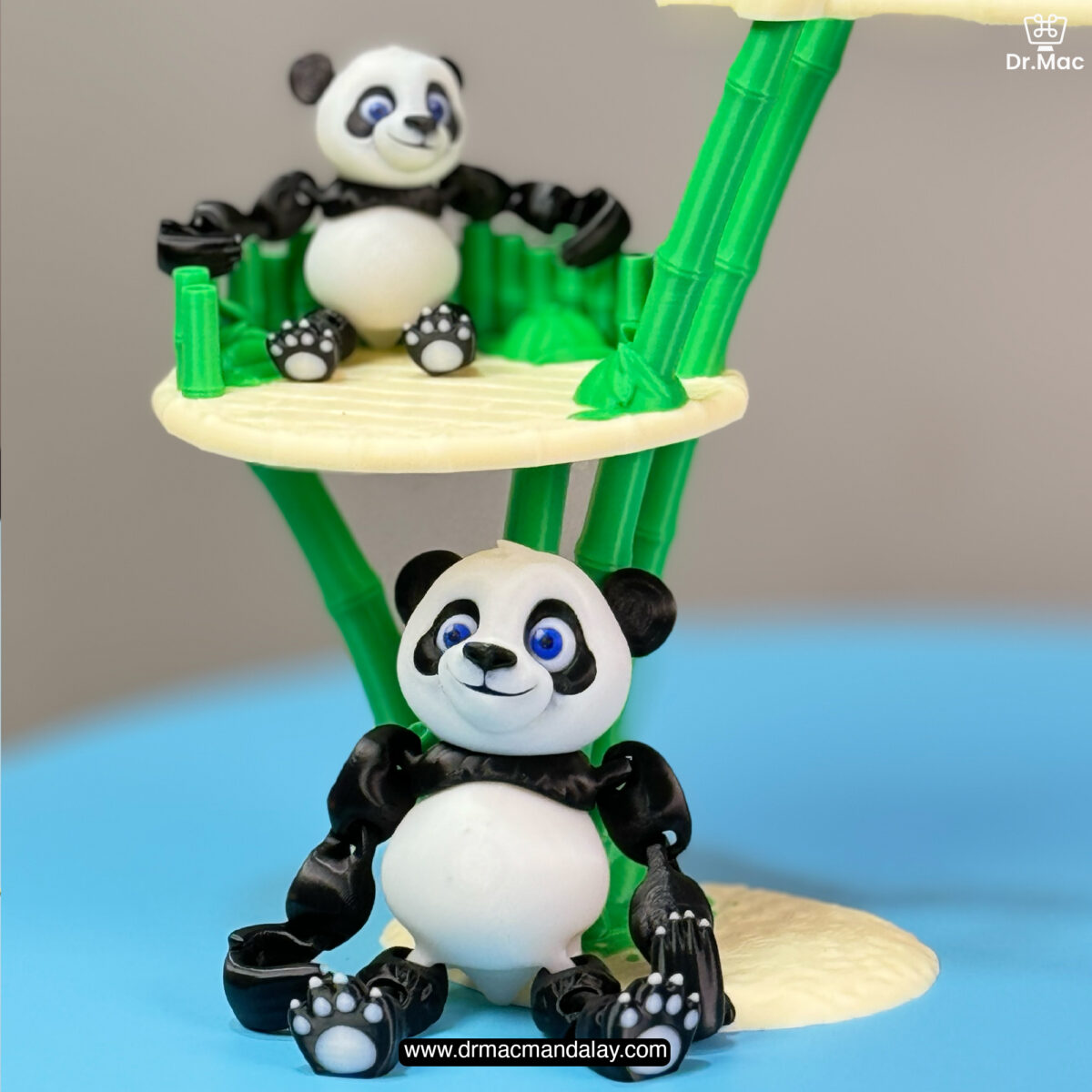 𝗔𝗿𝘁 𝗼𝗳 𝗠𝘂𝗹𝘁𝗶𝗖𝗼𝗹𝗼𝗿 𝟯𝗗 𝗣𝗿𝗶𝗻𝘁𝗶𝗻𝗴 | Dr Mac Mandalay