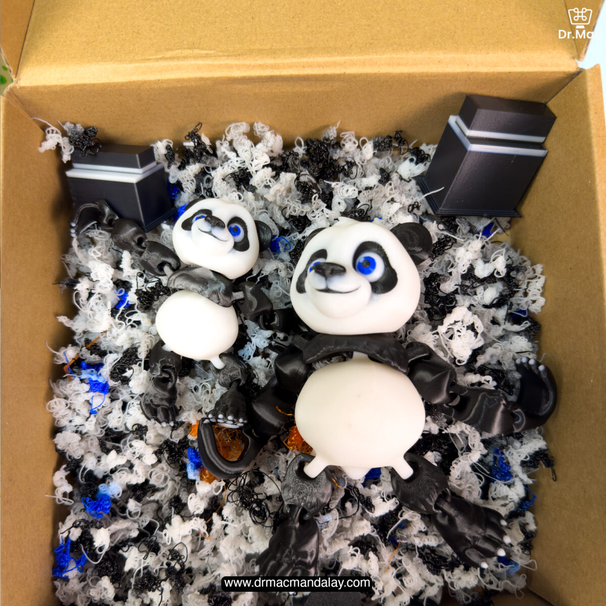 𝗔𝗿𝘁 𝗼𝗳 𝗠𝘂𝗹𝘁𝗶𝗖𝗼𝗹𝗼𝗿 𝟯𝗗 𝗣𝗿𝗶𝗻𝘁𝗶𝗻𝗴 | Dr Mac Mandalay